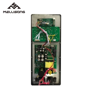 Buy Hot Custom Digital Power Active Speaker Amplifier Module Spm150a-wm ...