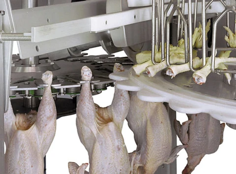 Buy Live Chicken Duck Slaughtering Machines Line from Zhucheng Degui ...