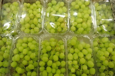 Buy Premium Egyptian Early Sweet Grapes For Export - High-quality And ...