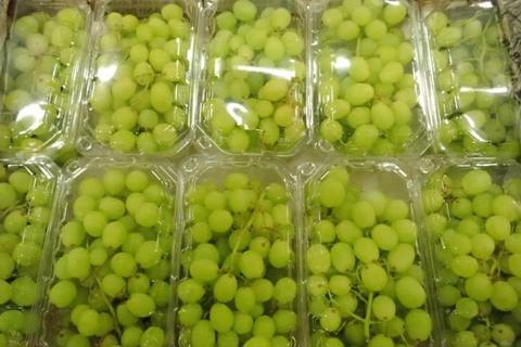 Buy Premium Egyptian Early Sweet Grapes For Export - High-quality And ...