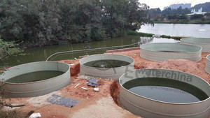 Buy Ras System Aquaculture Pond Ras Farming System, Aquaculture Shrimp ...