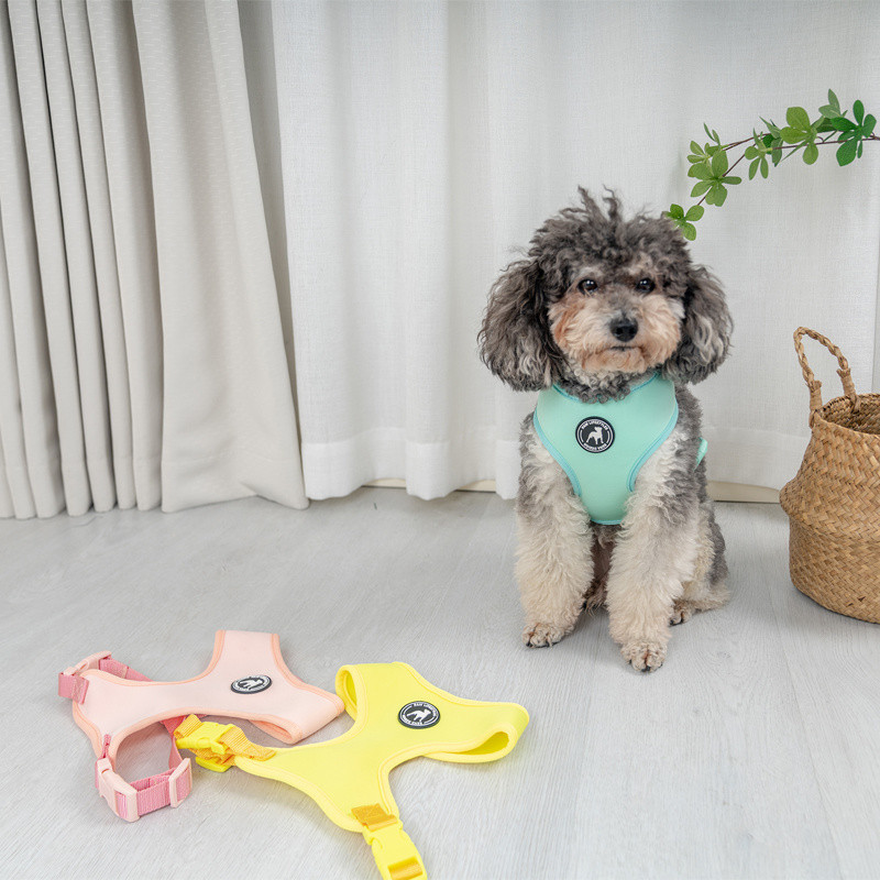 Buy Rena Pet Popular Pretty Soft Colorful Pet Dog Harness Adjustable ...