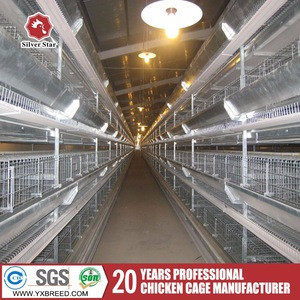 Buy Silver Star Egg Production Project Poultry Farming Chicken Eggs ...