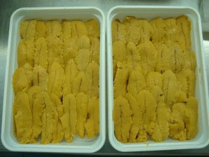 Buy Uni Sea Urchin from EXPORTADORA GLOBAL SEAFOOD CHILE S.A., Chile ...