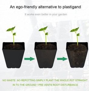 Buy Wholesale Biodegradable Pulp Tray Seedlings Flower Seed Planter ...