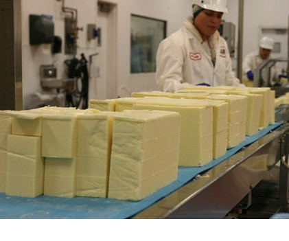Buy Wholesale Pure Cow Butter Unsalted Butter With 45% Fat For Sale ...