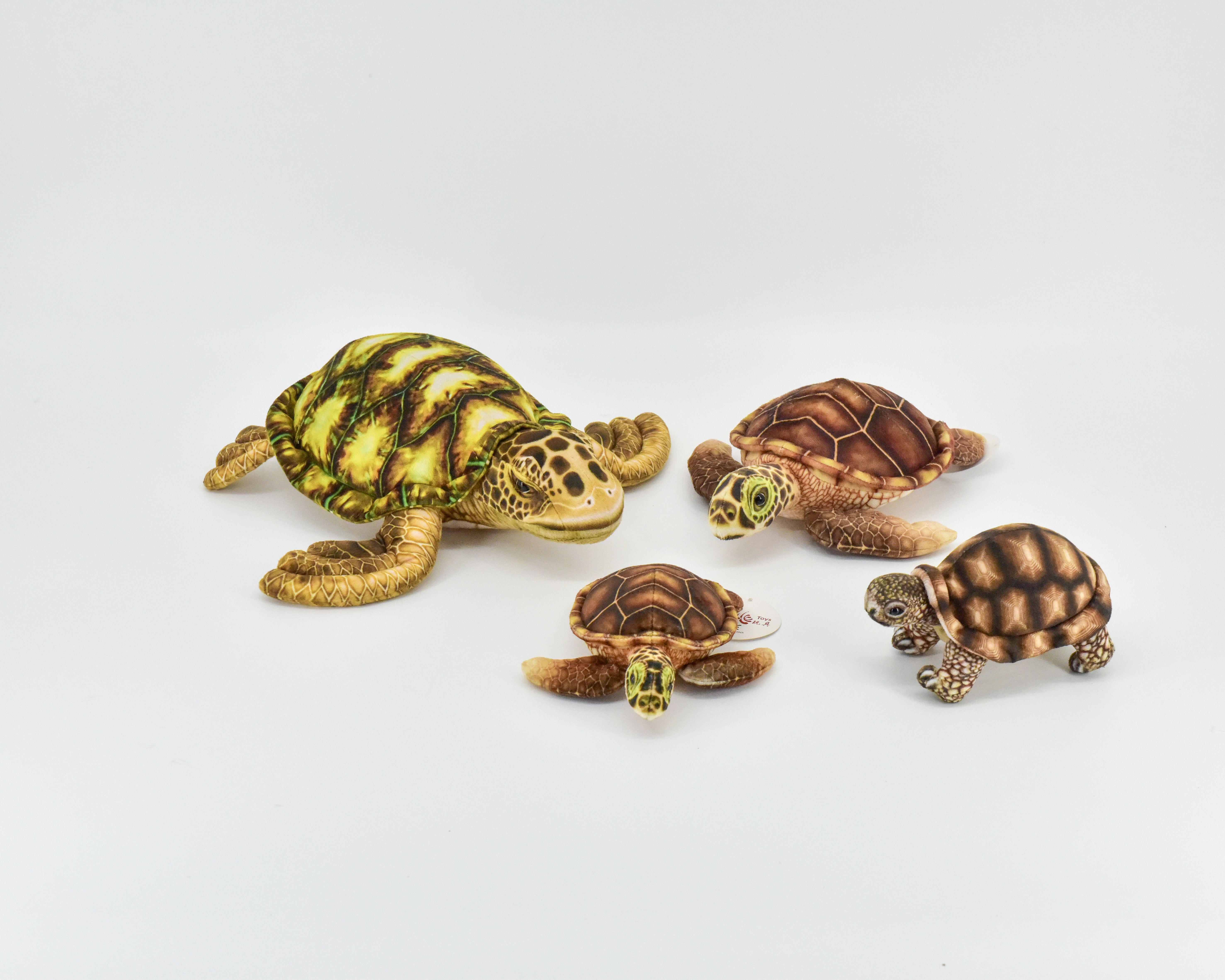 Buy Turtle Collection from Wendeng Huakai Toys Co.,Ltd, China ...
