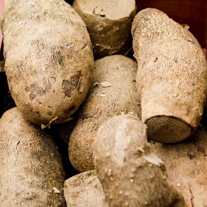 Buy Yellow Yam Sweet Potatoes Roast Bread Fruit from expert importers ...