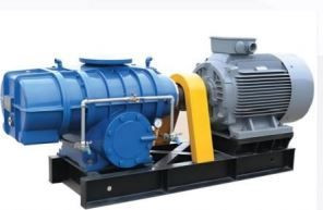 Buy High-efficiency Low-noise Roots Blower from Songyun International ...