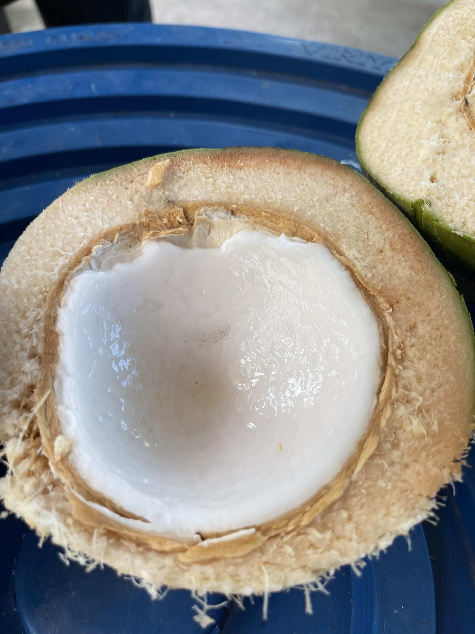 Buy Fresh Young Thai Coconut Nam Hom from FRESHIE FOOD EXPORT (THAILAND ...
