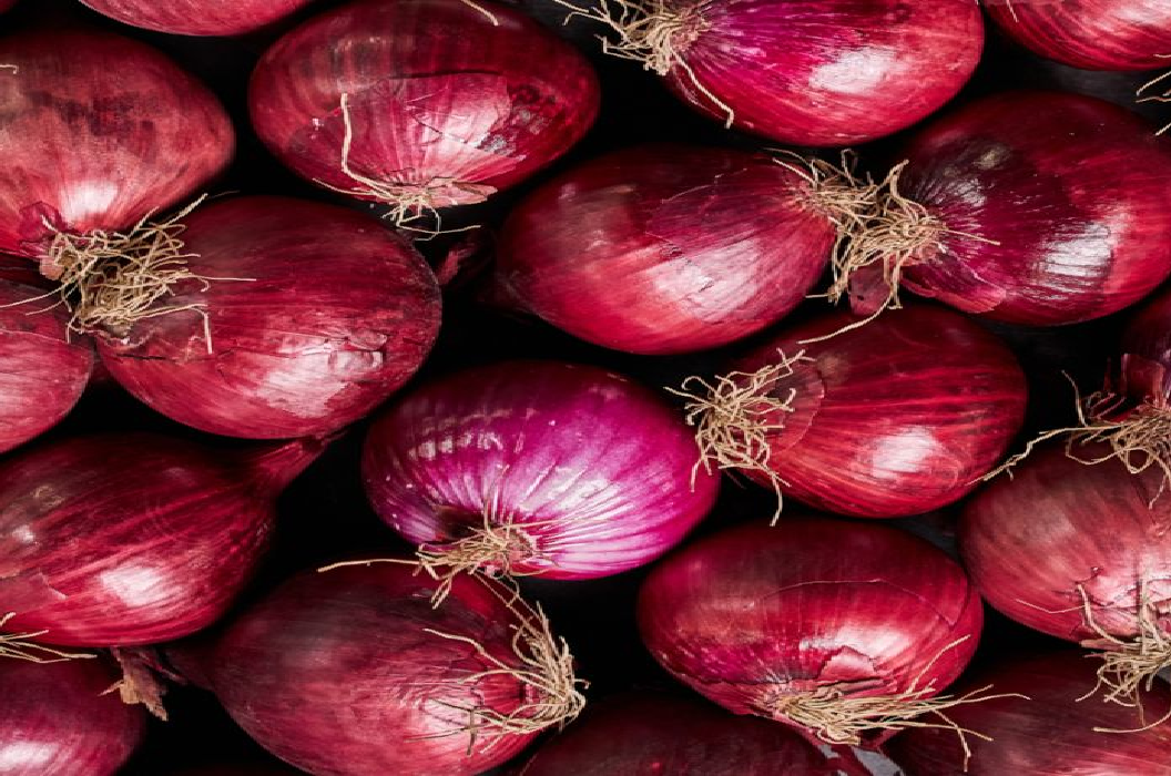 Buy Fresh Red Onions In Best Rates from Izaan Enterprises, Pakistan ...