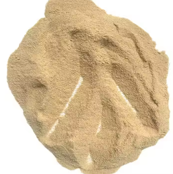 Buy Yeast Extract Powder from Landove International Exports (Pty) Ltd ...