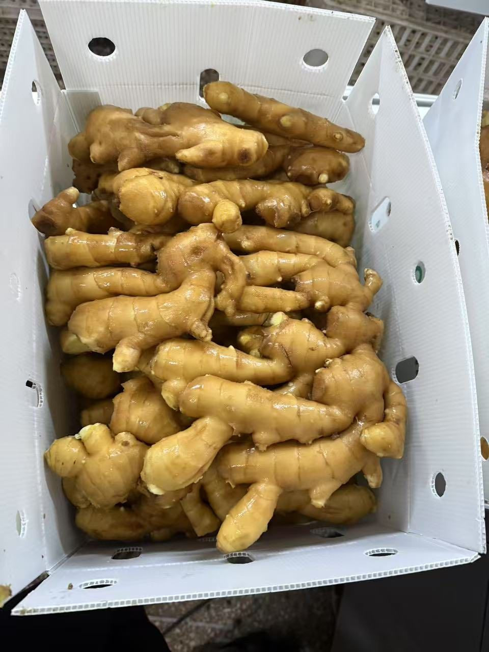 Buy Whole And Split Dry Ginger Dry Ginger Whole Ginger Dried For Sale ...