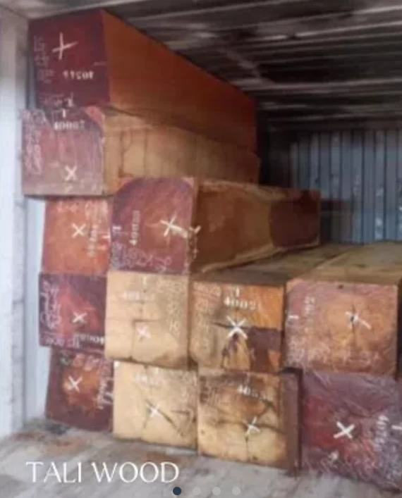 Buy Square Logs from Hammerlex International Limited, Nigeria ...