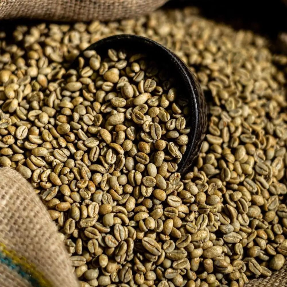 Buy Arabica Coffee – Premium Quality, Smooth Taste from Ariwara Trading ...