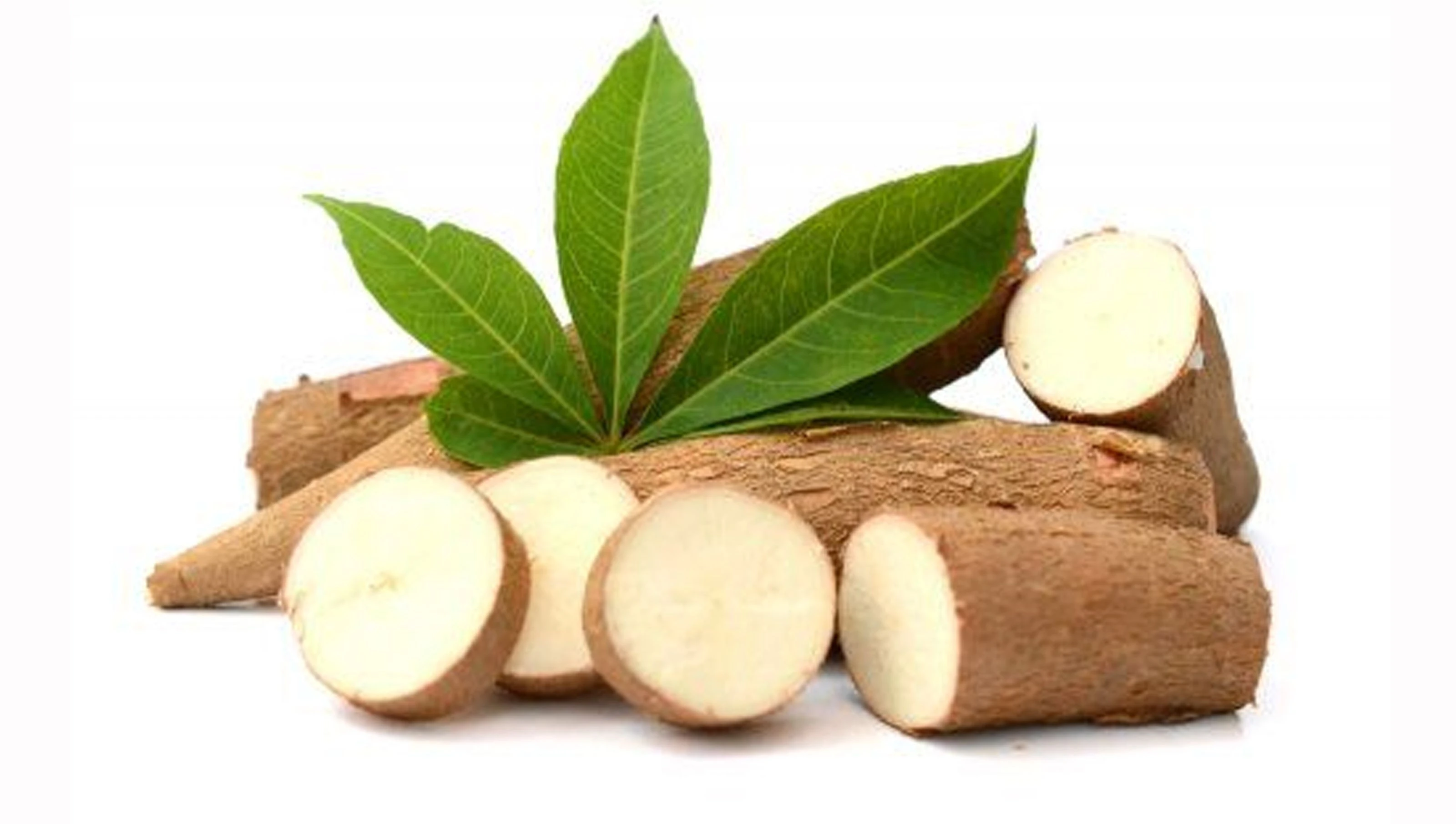 Buy Fresh Casava From Indonesia from Agyagro, Indonesia | Tradewheel.com
