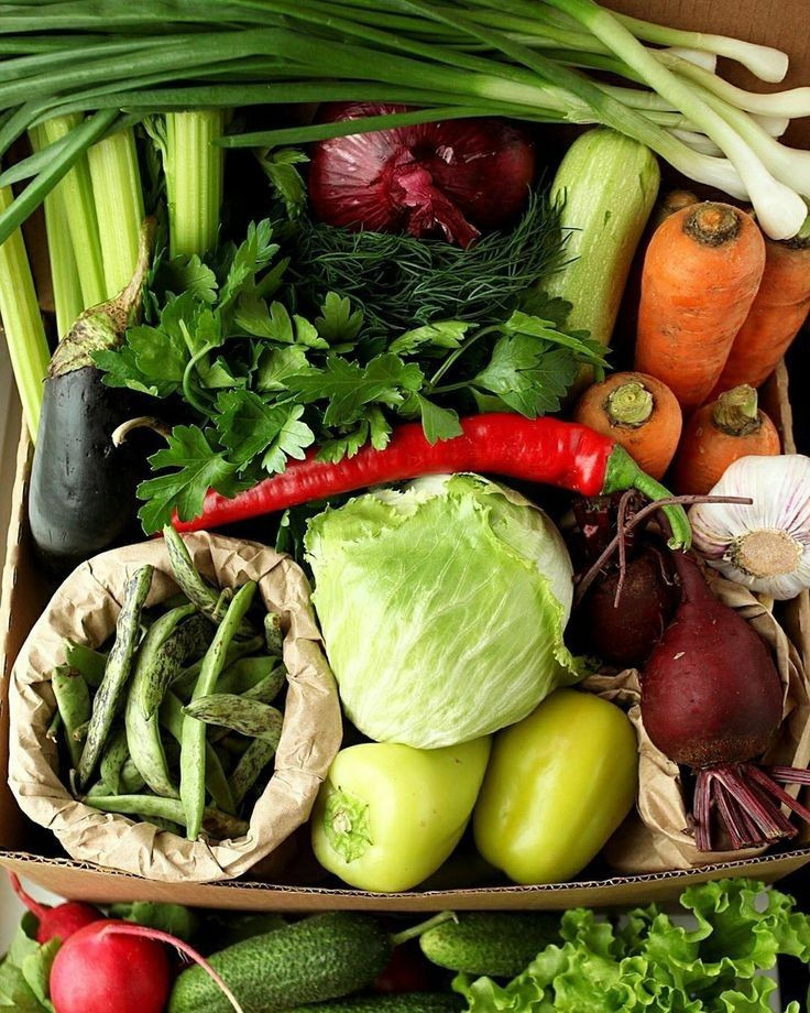 Buy Indian Vegetables from DY FOOD EXIM, India | Tradewheel.com