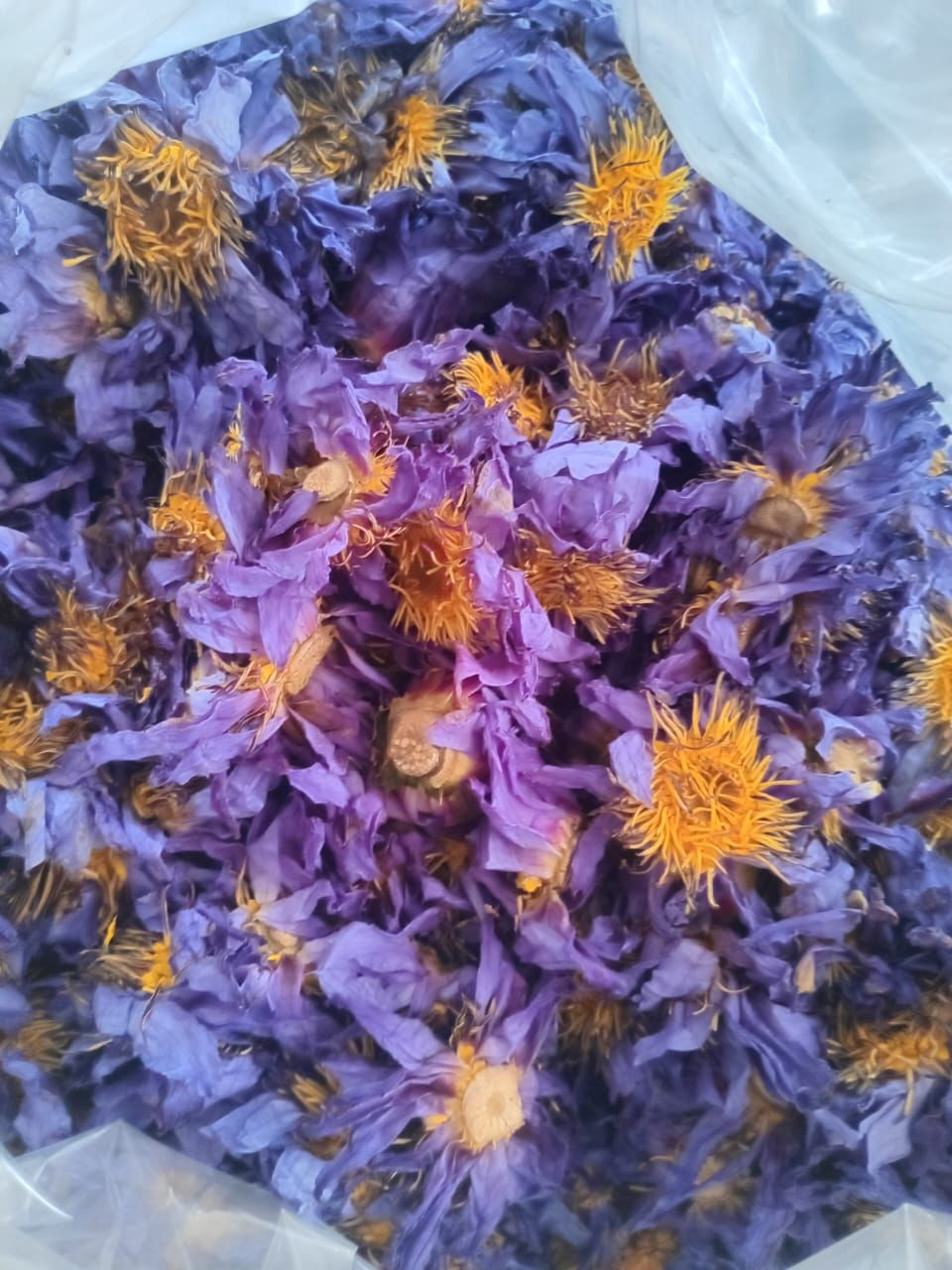 Buy Dried Blue Lotus Flower Tea from Sithumina Healthcare Solutions ...