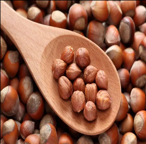 Buy Hazelnut Natural Hazelnut %100 Roasted And Organic Hazelnut from ...