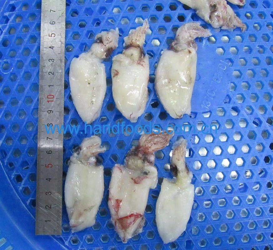 Buy Frozen Baby Squid from Hand Foods (Dalian) Co., Ltd., China ...