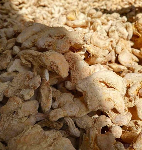Buy Premium Dry Ginger – Sun-dried, Aromatic & High In Essential Oils ...