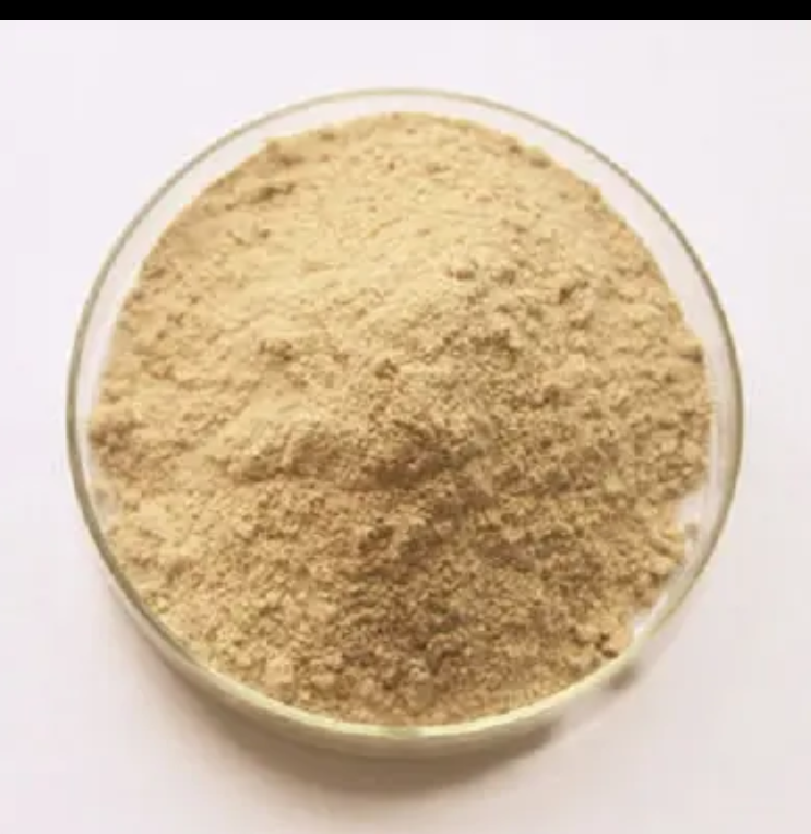 Buy Yeast Extract Powder from Landove International Exports (Pty) Ltd ...