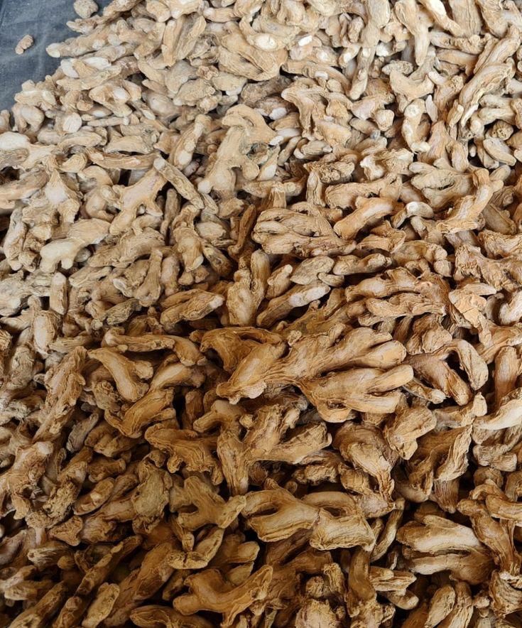 Buy Premium Dry Ginger – Sun-dried, Aromatic & High In Essential Oils ...