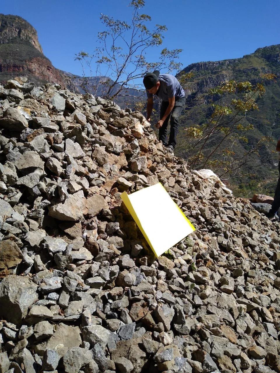 Buy Lead Ore from american mineral, USA | Tradewheel.com