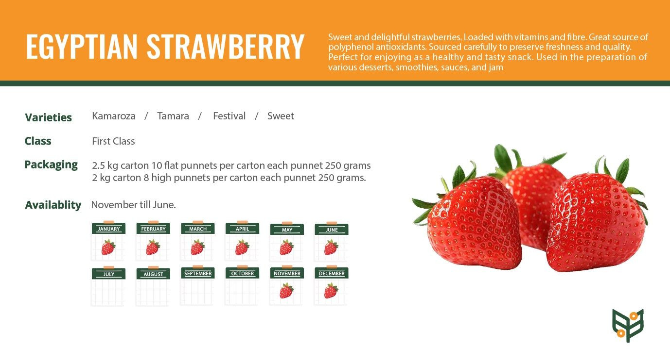 Buy Egyptian Fresh Strawberry (kamaroza, Tamara, Festival, Sweet) from ...