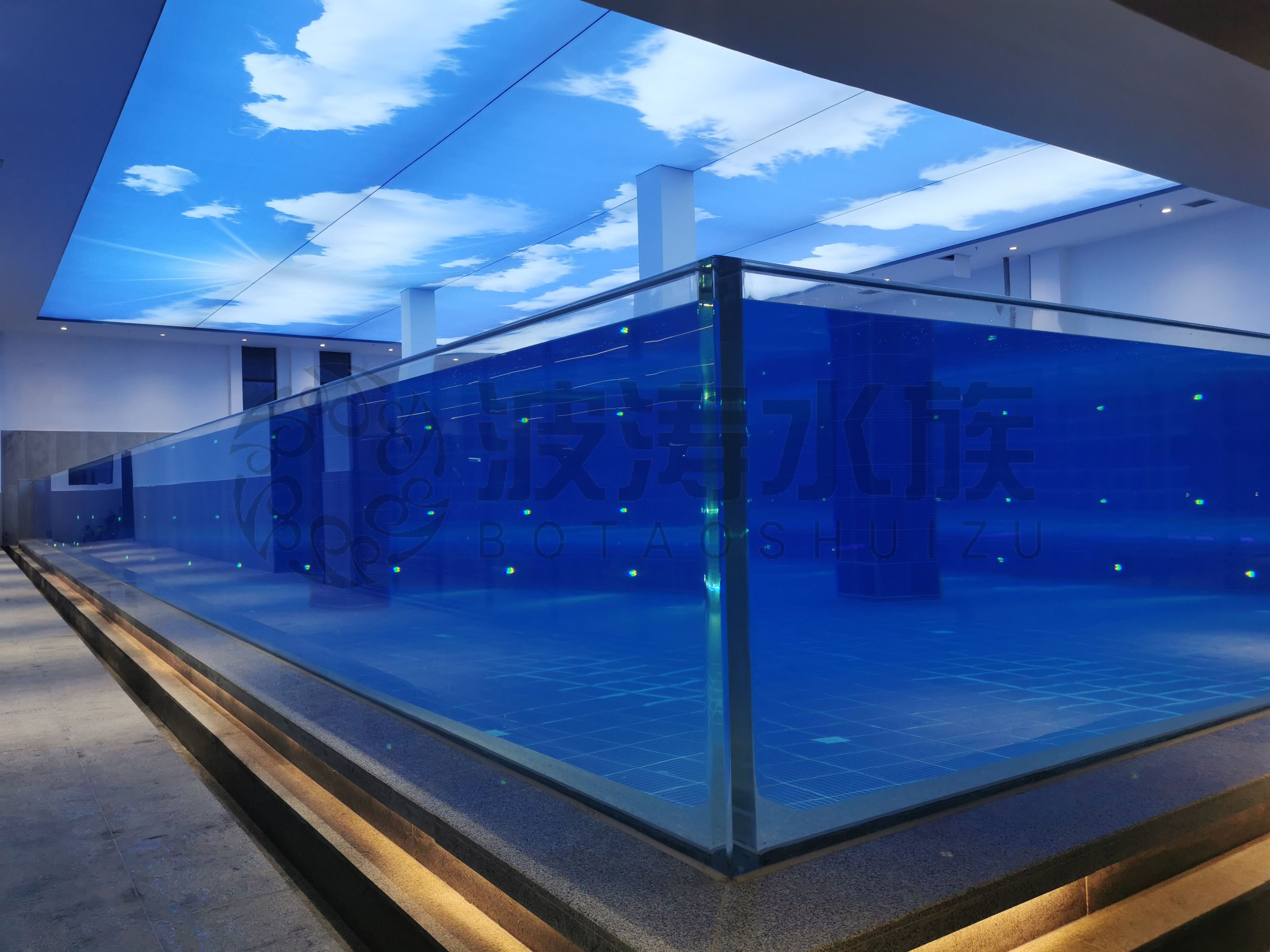 Buy Acrylic Swimming Pool from Shanghai Botao Aquarium, China ...