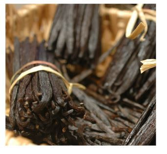 Buy Top Quality Vanilla From Madagascar from Tafita, France ...