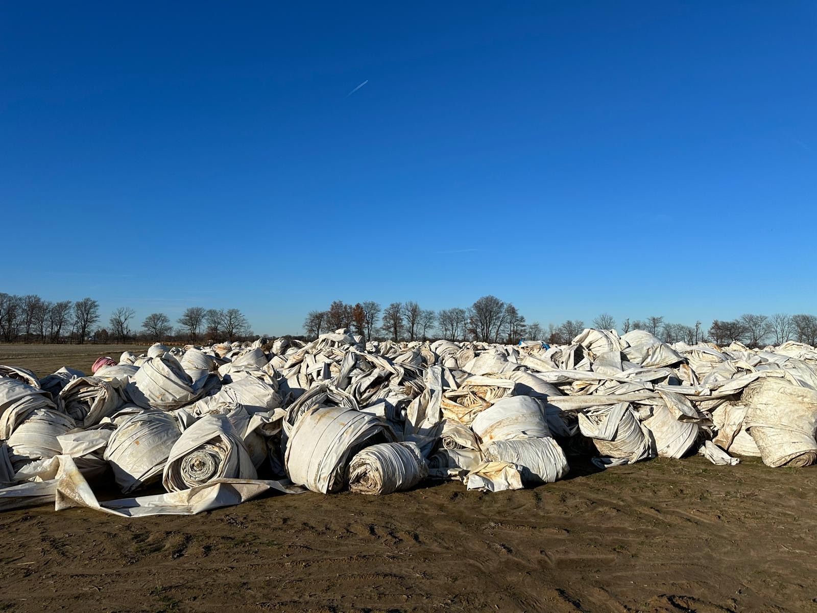 Buy Ldpe Scrap Rolls from winter waves canada ltd, Canada | Tradewheel.com