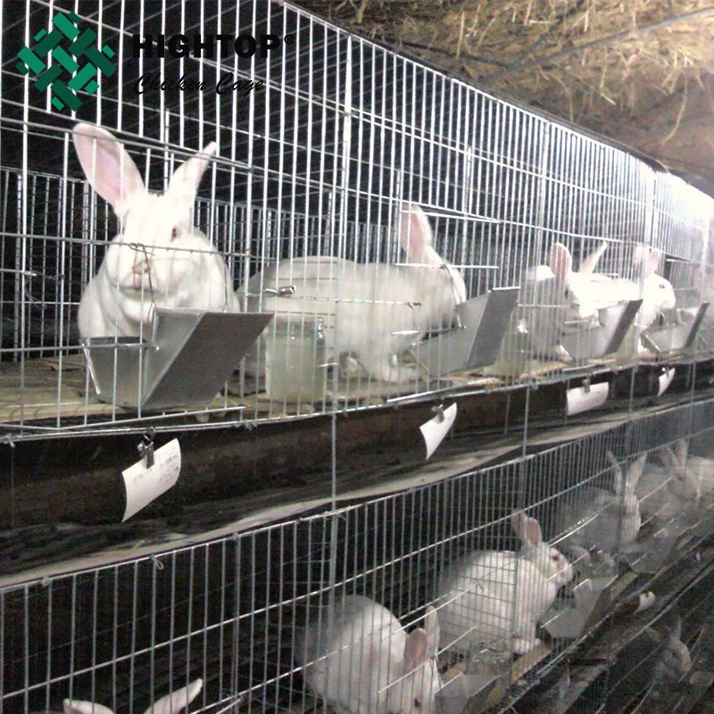Buy Automatic Commercial Rabbit Farm Cage System In Kenya Farm from ...