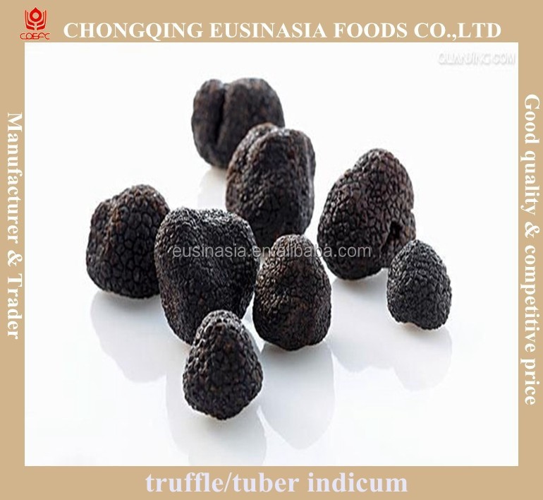 Buy New Crop Fresh Truffle Tuber Indicum For Sale from Chongqing ...