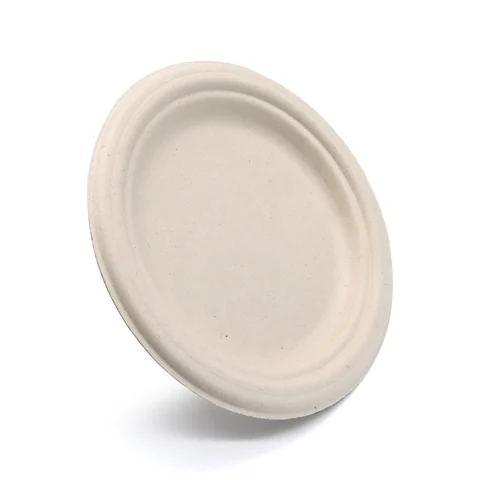 Buy Oasis Bagasse Tableware Sugarcane Compostable Biodegradable Party ...