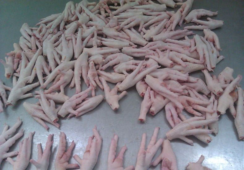 Buy Wholesale Chicken Paws from GLOBAL PHI TRADING COMPLEX, Philippines ...