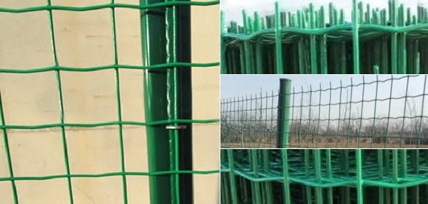 Buy T/l-post (euro Type) Pipe Post from Dongfang Fence Post Co., Ltd ...