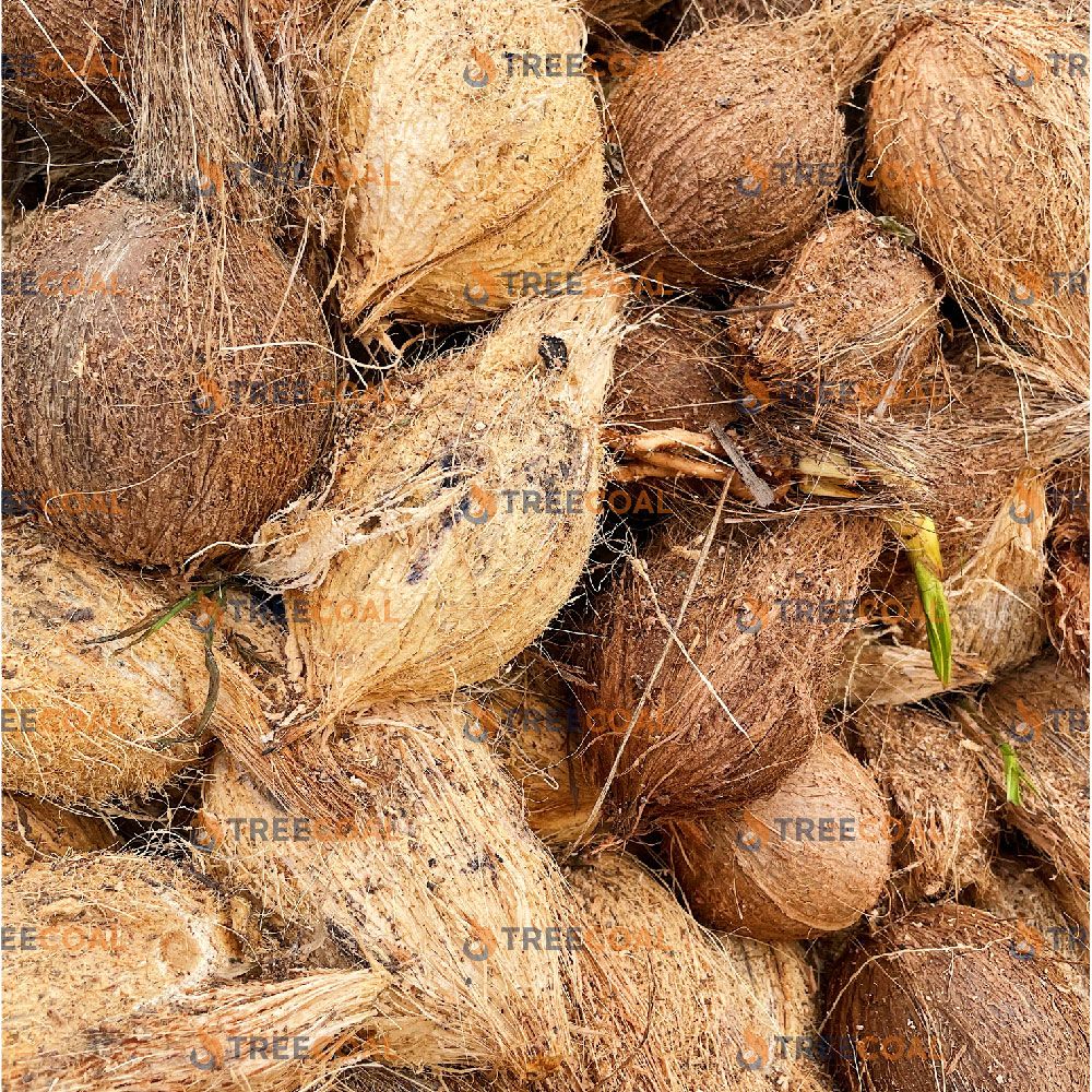 Buy Semi Husked Coconut from treecoal, Indonesia | Tradewheel.com