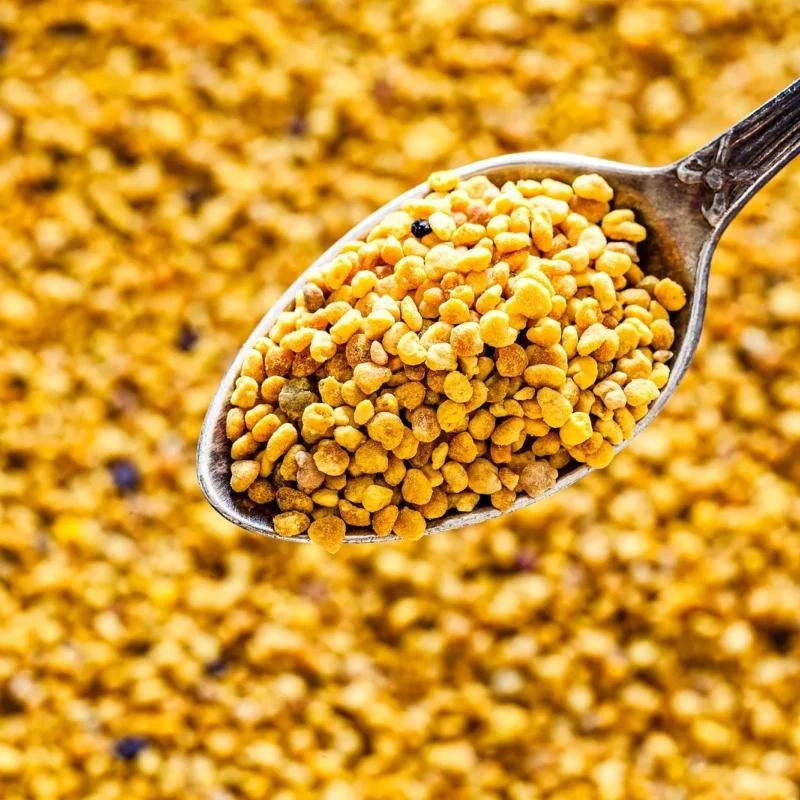 Buy Organic Bee Pollen – Nutrient-rich, Natural Superfood from AGRO ...