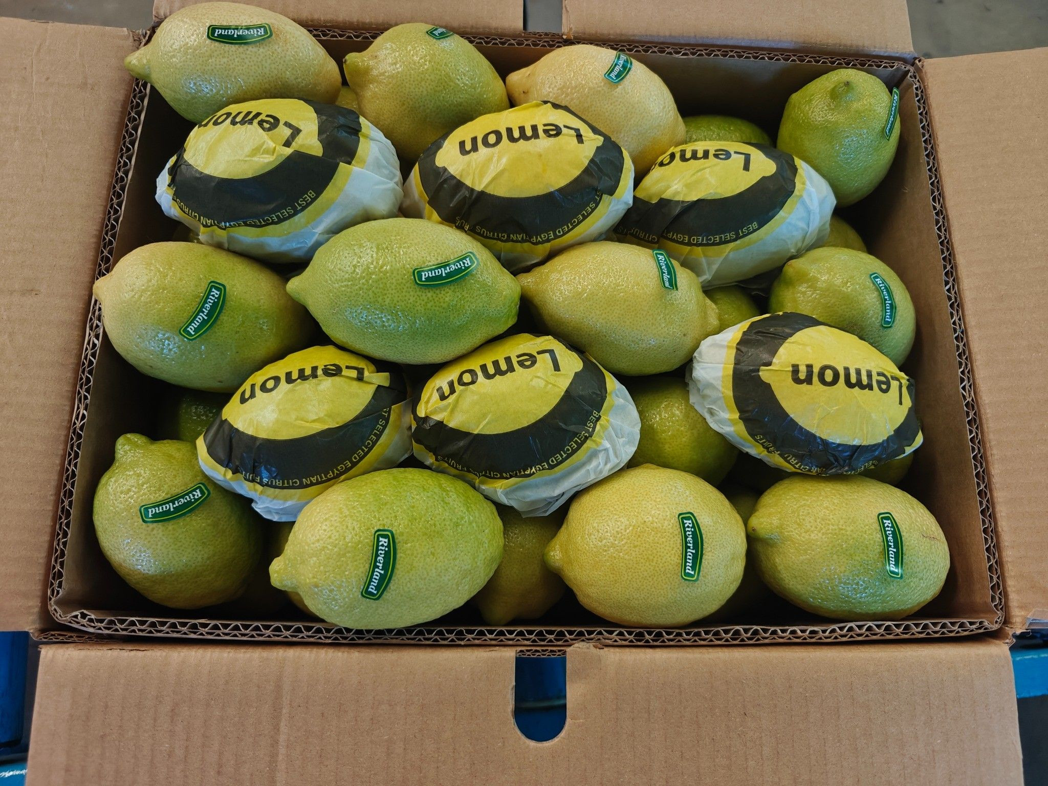 Buy Egyland Fresh Lemons, Fresh Eureka Lemons, Fresh Adalia Lemons ...
