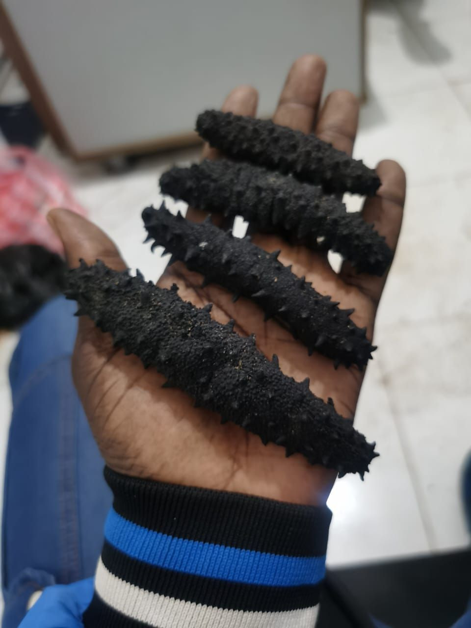 Buy Whole Sea Cucumber from LFK IMPORT & EXPORT LTD, France ...