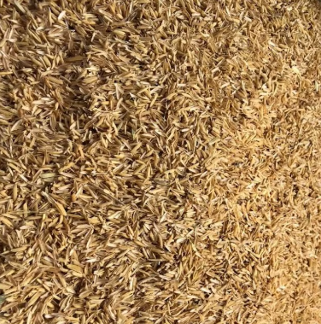 Buy Wholesale Premium Quality Rice Husk Ready For Export from Landove ...