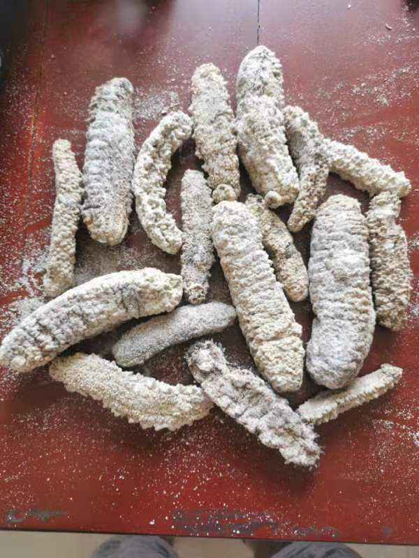 Buy Whole Sea Cucumber from LFK IMPORT & EXPORT LTD, France ...