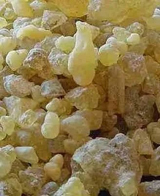 Buy Male Gum from Fatxi Group company, Egypt | Tradewheel.com