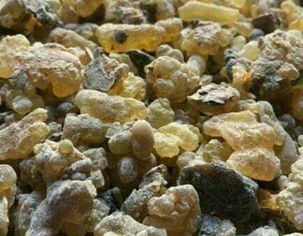 Buy Male Gum from Fatxi Group company, Egypt | Tradewheel.com