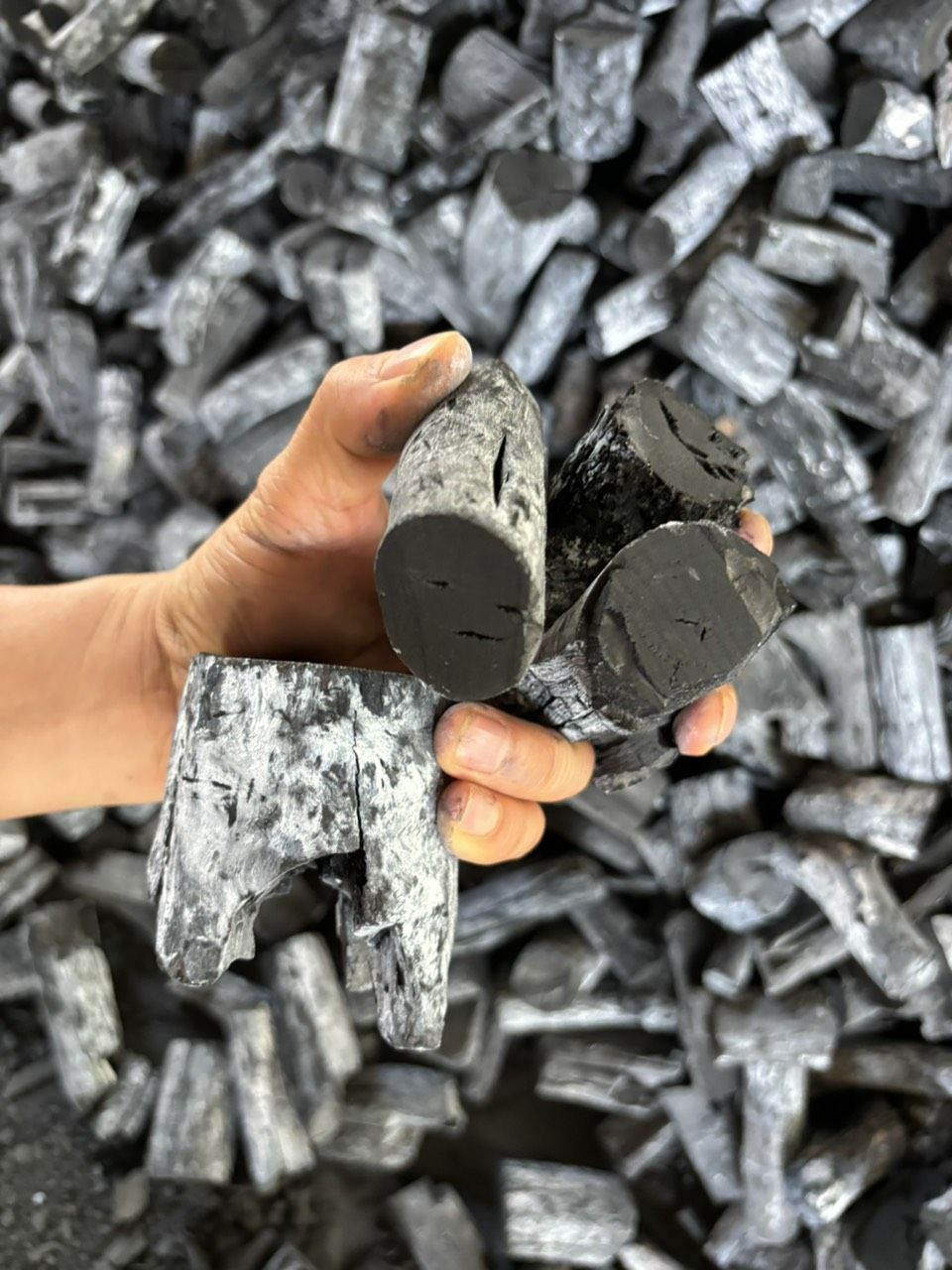 Buy White Charcoal From Vietnam Number 1 In Japan & Korea from Hadi ...