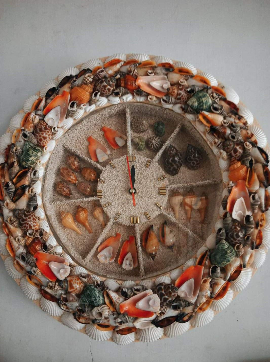 Buy Calm Shell from CV.ZIHEN ANUGRAH KAKAYO, Indonesia | Tradewheel.com