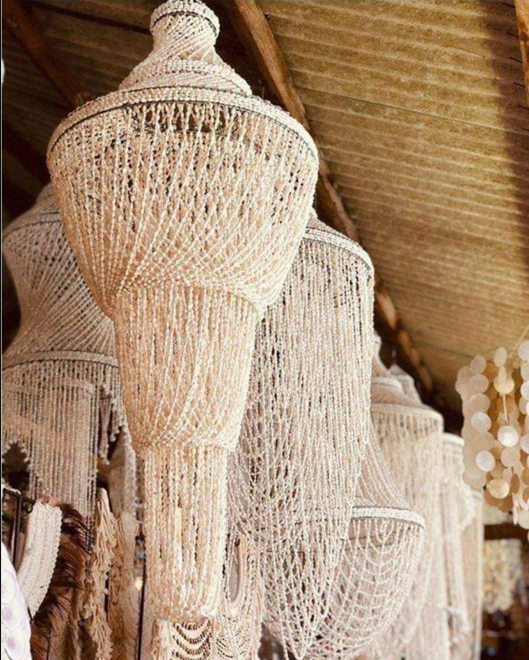 Buy Calm Shell from CV.ZIHEN ANUGRAH KAKAYO, Indonesia | Tradewheel.com