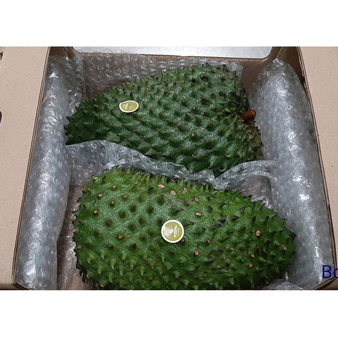 Buy Fresh Soursop Guanabana Fruit With Juicy And Gelatinous White Pulp ...