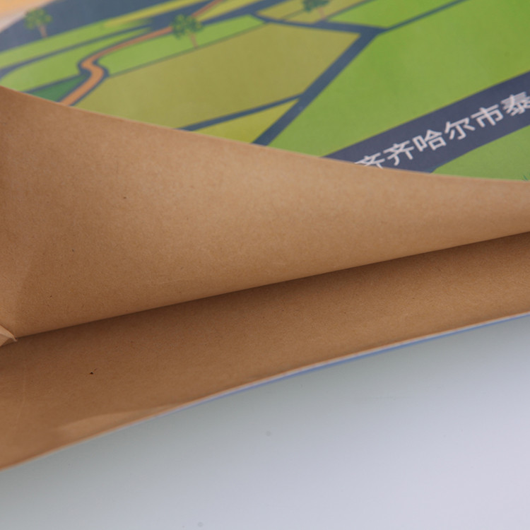 Buy Laminated Rice Bag Kraft Paper For 5kg Rice Packing from Nuoyadi ...